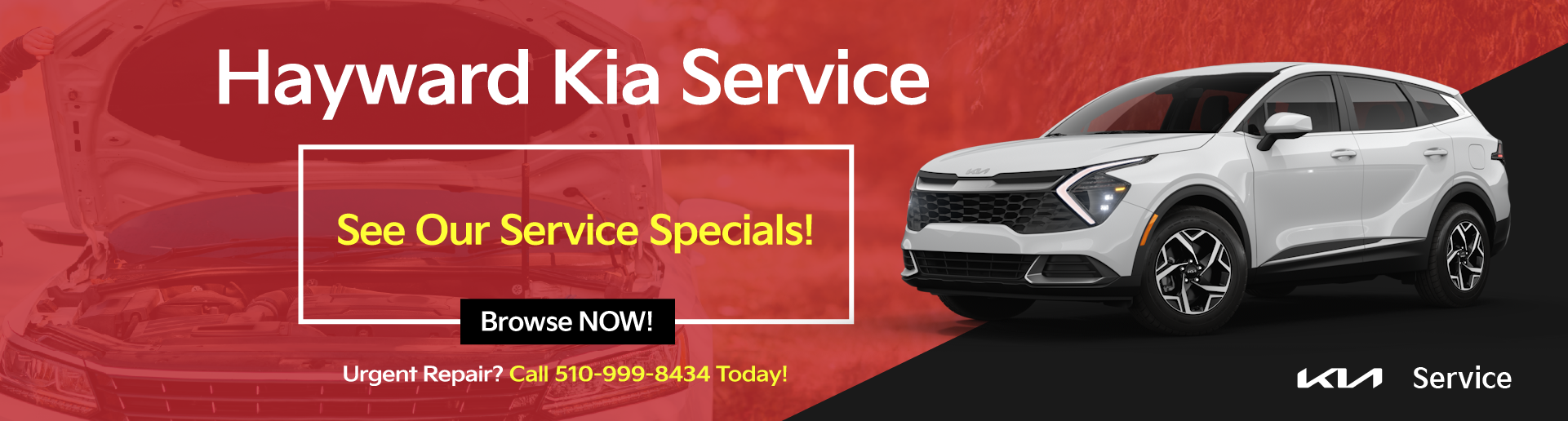 Kia Dealership | New Cars in Hayward, CA | Hayward Kia